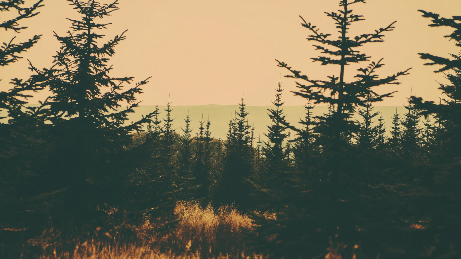 Durango Extends Lithium Mineralization At Discovery – Quantum Critical ...