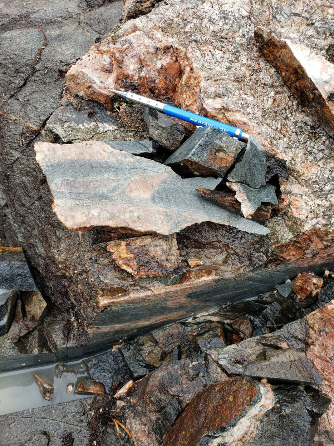 Windfall Gold Project, Quebec – Quantum Critical Metals