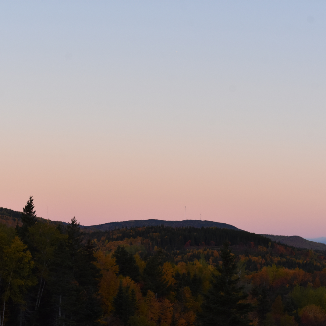 Windfall Gold Project, Quebec – Quantum Critical Metals